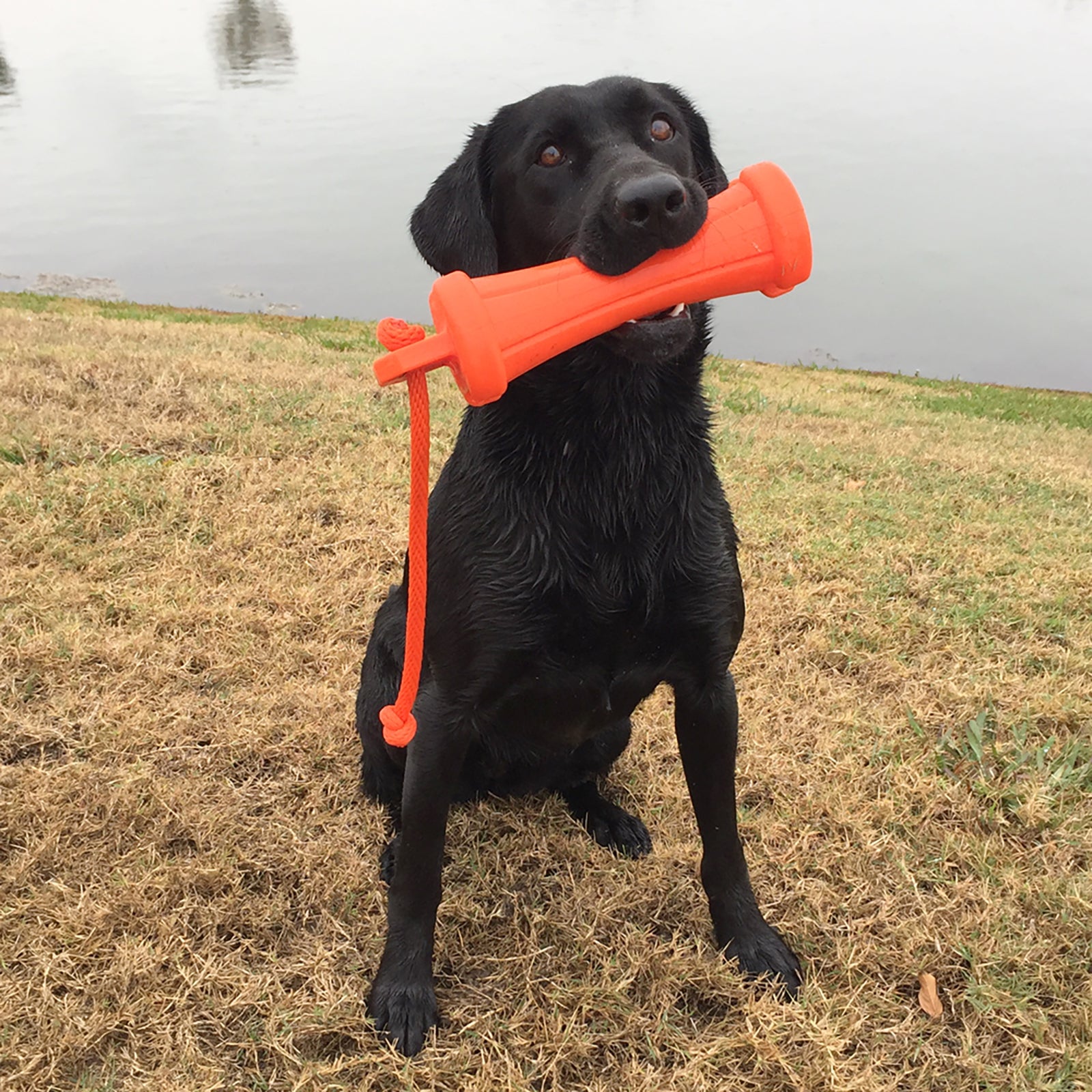 Ergo-Fetch Bumpers – Gunners Up